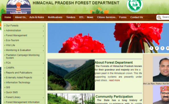 HP Forest Department Recruitment 2019: Apply for 113 Forest Guard Posts ...