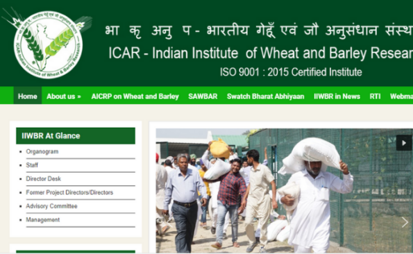 ICAR IIWBR Karnal Recruitment 2020 for 7 Senior Research Fellow and ...