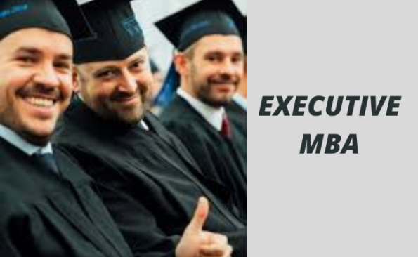 Top Executive MBA Colleges in India | Best EMBA B-Schools