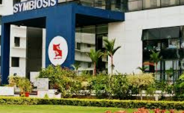 SIBM-B: Our virtual experience – PaGaLGuY